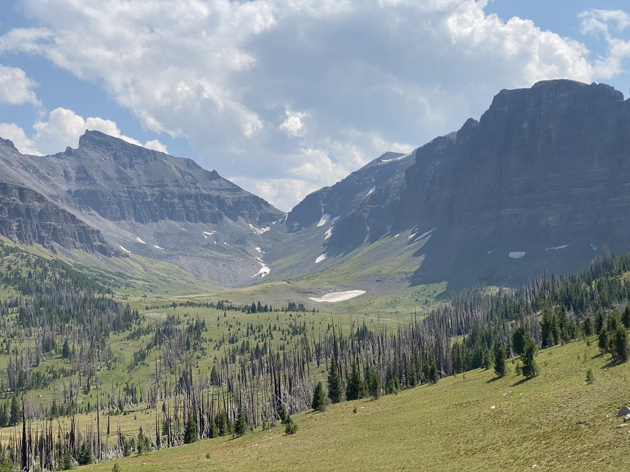 Precision Cut Archery | Ballistics Software for Archers